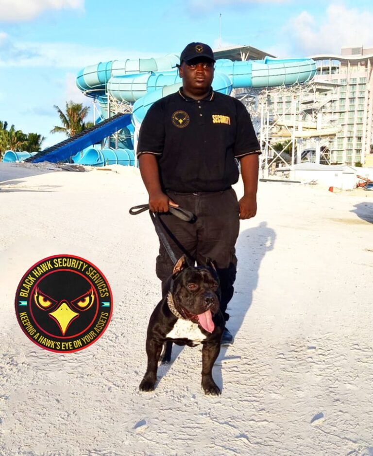 Black Hawk Security Services – Security Services